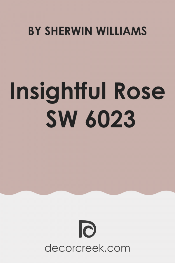 Insightful Rose SW 6023 Paint Color by Sherwin Williams - DecorCreek