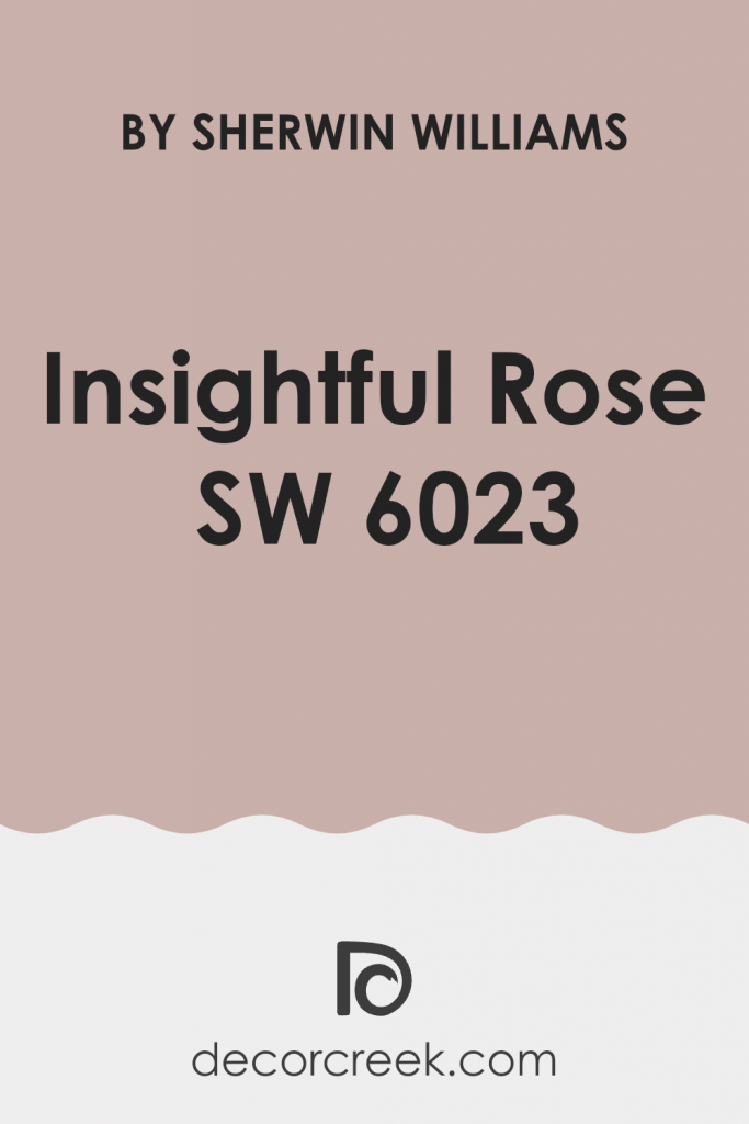 Insightful Rose SW 6023 Paint Color by Sherwin Williams - DecorCreek