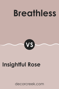 Insightful Rose SW 6023 Paint Color by Sherwin Williams - DecorCreek