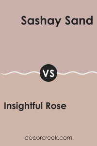 Insightful Rose SW 6023 Paint Color by Sherwin Williams - DecorCreek