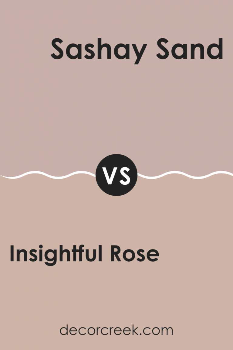 Insightful Rose SW 6023 Paint Color by Sherwin Williams - DecorCreek
