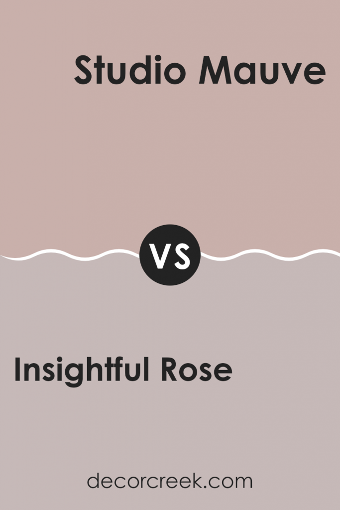 Insightful Rose SW 6023 Paint Color by Sherwin Williams - DecorCreek