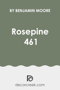 Rosepine 461 Paint Color by Benjamin Moore - DecorCreek