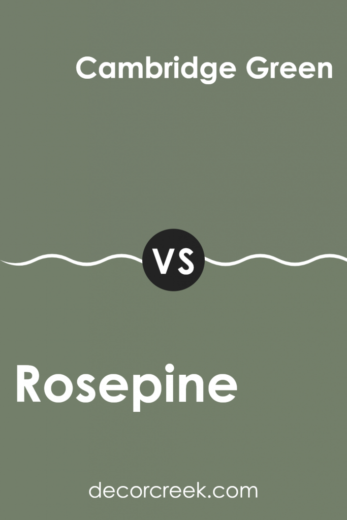 Rosepine 461 Paint Color by Benjamin Moore - DecorCreek