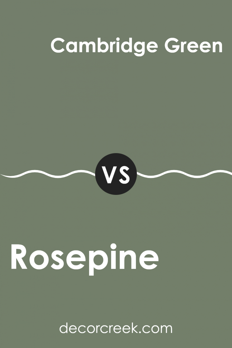 Rosepine 461 Paint Color by Benjamin Moore - DecorCreek
