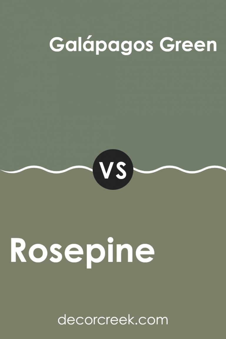 Rosepine 461 Paint Color by Benjamin Moore - DecorCreek