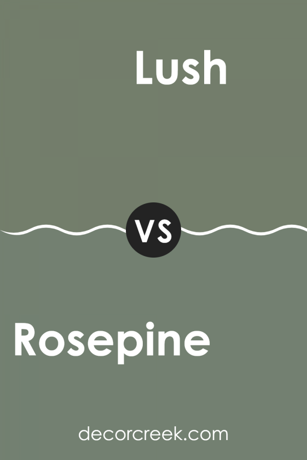 Rosepine 461 Paint Color by Benjamin Moore - DecorCreek