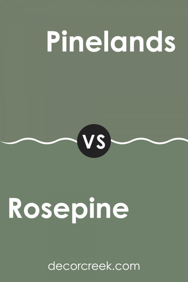 Rosepine 461 Paint Color by Benjamin Moore - DecorCreek