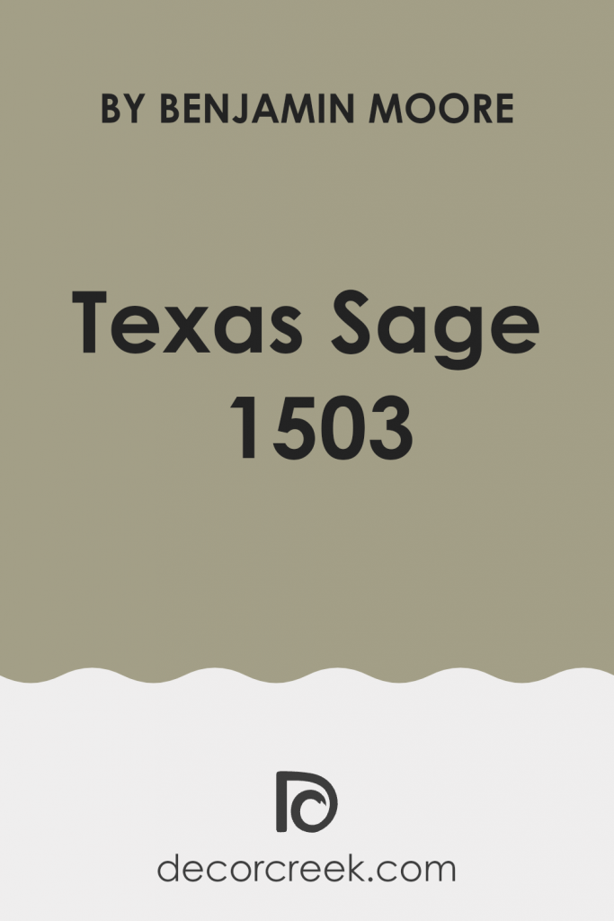 Texas Sage 1503 Paint Color by Benjamin Moore - DecorCreek