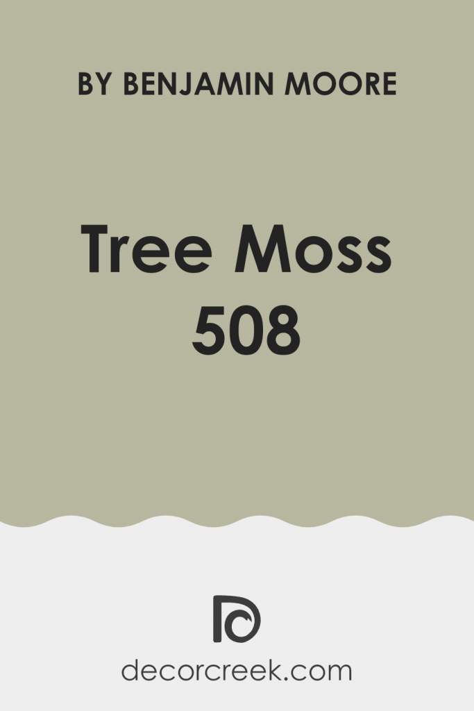 Tree Moss 508 Paint Color by Benjamin Moore - DecorCreek