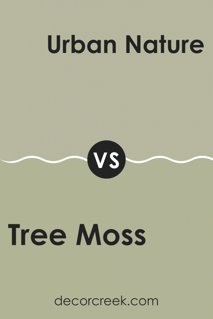 Tree Moss 508 Paint Color by Benjamin Moore - DecorCreek