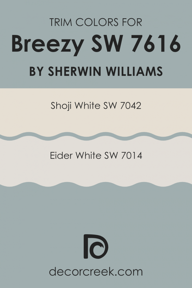 Breezy SW 7616 Paint Color by Sherwin Williams - DecorCreek