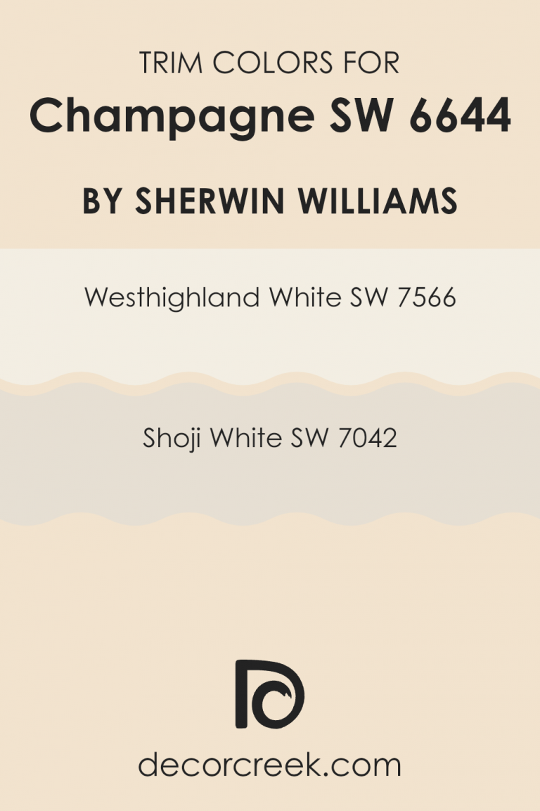Champagne SW 6644 Paint Color by Sherwin Williams - DecorCreek