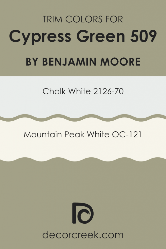 Cypress Green 509 Paint Color by Benjamin Moore - DecorCreek