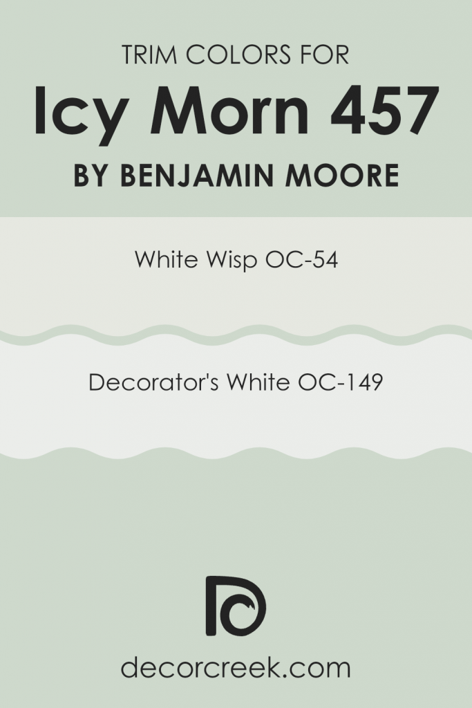 Icy Morn 457 Paint Color by Benjamin Moore - DecorCreek