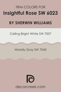 Insightful Rose SW 6023 Paint Color by Sherwin Williams - DecorCreek
