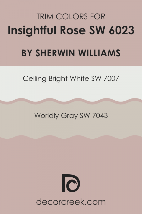 Insightful Rose SW 6023 Paint Color by Sherwin Williams - DecorCreek