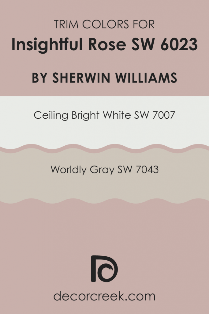 Insightful Rose SW 6023 Paint Color by Sherwin Williams - DecorCreek