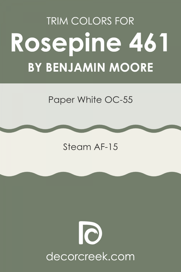 Rosepine 461 Paint Color by Benjamin Moore - DecorCreek