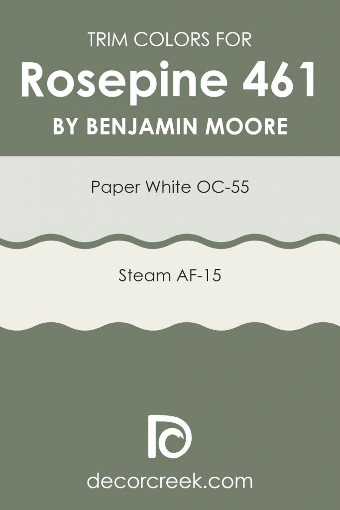 Rosepine 461 Paint Color by Benjamin Moore - DecorCreek