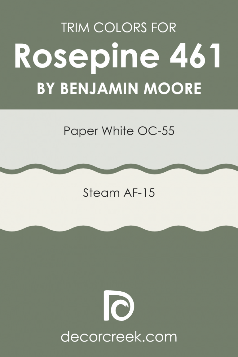 Rosepine 461 Paint Color by Benjamin Moore - DecorCreek