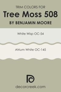 Tree Moss 508 Paint Color by Benjamin Moore - DecorCreek