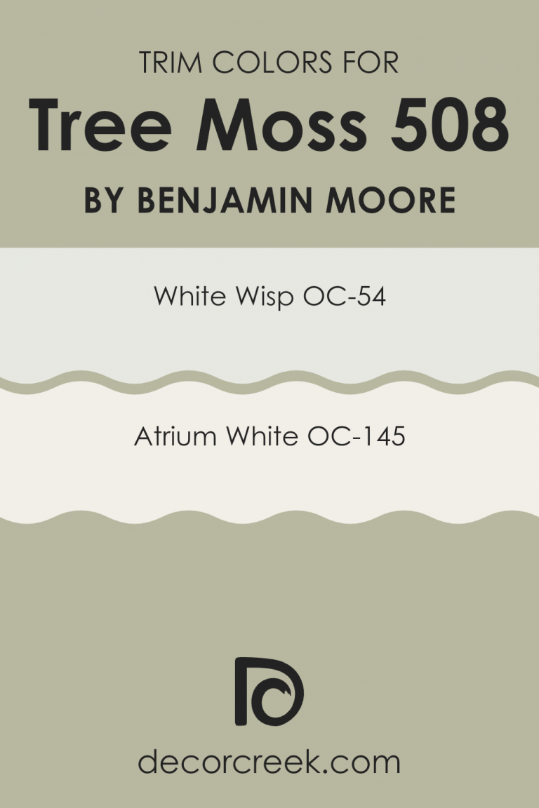 Tree Moss 508 Paint Color by Benjamin Moore - DecorCreek