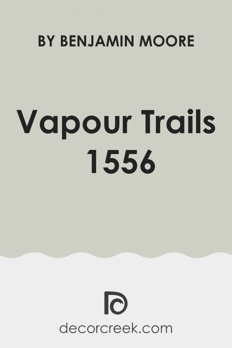 Vapour Trails 1556 Paint Color by Benjamin Moore - DecorCreek