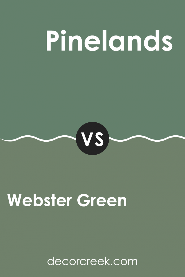 Webster Green HC-130 Paint Color by Benjamin Moore - DecorCreek