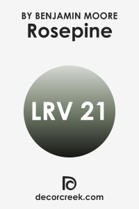 Rosepine 461 Paint Color by Benjamin Moore - DecorCreek