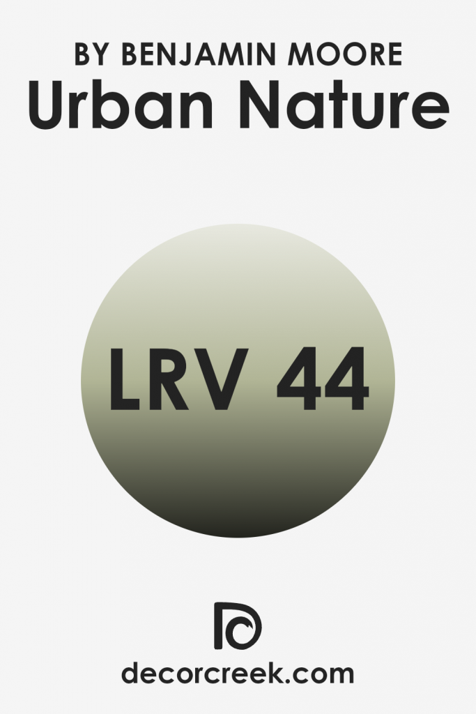 Urban Nature AF-440 Paint Color by Benjamin Moore - DecorCreek