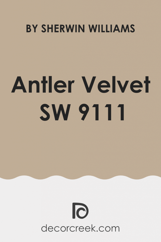 Antler Velvet SW 9111 Paint Color by Sherwin Williams - DecorCreek