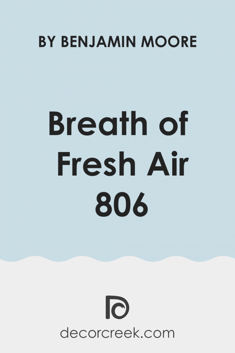 Breath of Fresh Air 806 Paint Color by Benjamin Moore - DecorCreek