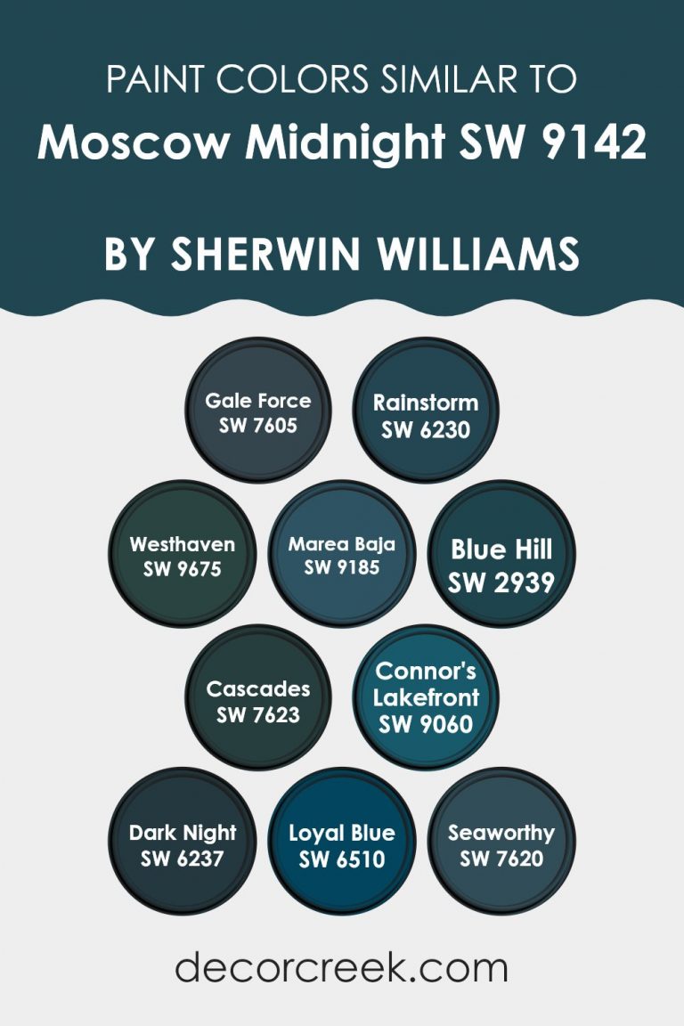 Moscow Midnight SW 9142 Paint Color by Sherwin Williams - DecorCreek