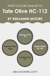 Tate Olive HC-112 Paint Color by Benjamin Moore - DecorCreek