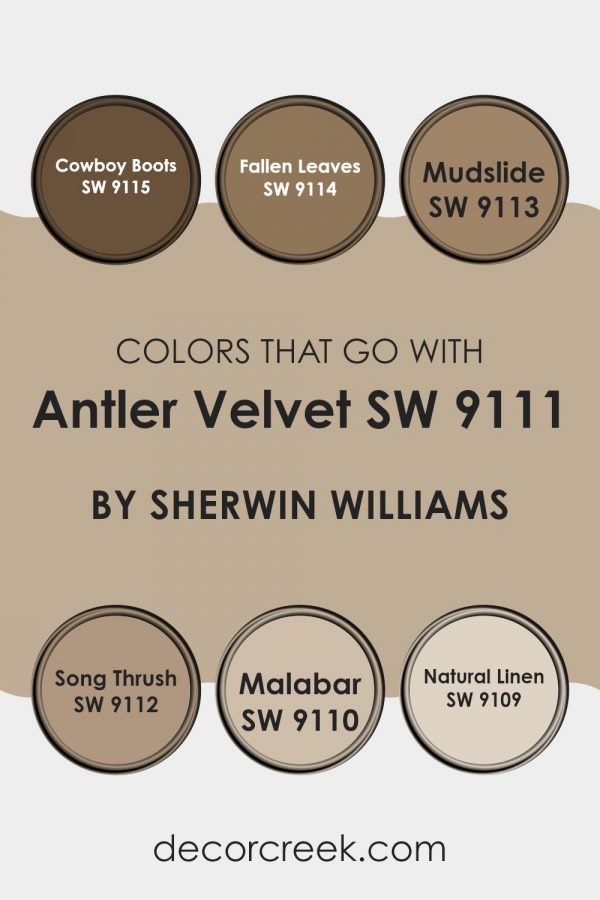 Antler Velvet SW 9111 Paint Color by Sherwin Williams - DecorCreek