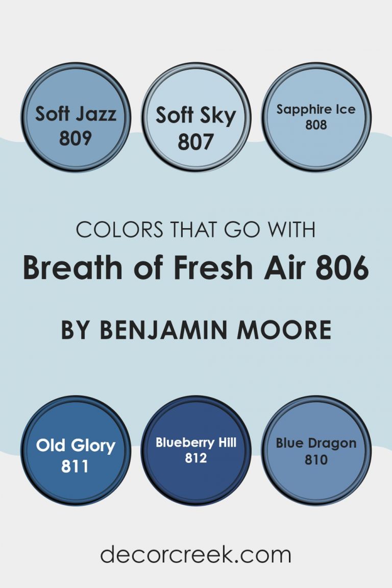 Breath of Fresh Air 806 Paint Color by Benjamin Moore - DecorCreek