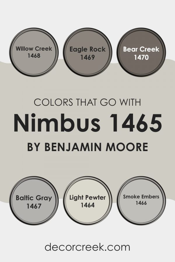 Nimbus 1465 Paint Color by Benjamin Moore - DecorCreek