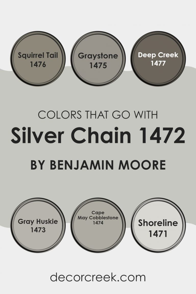 Silver Chain 1472 Paint Color by Benjamin Moore - DecorCreek