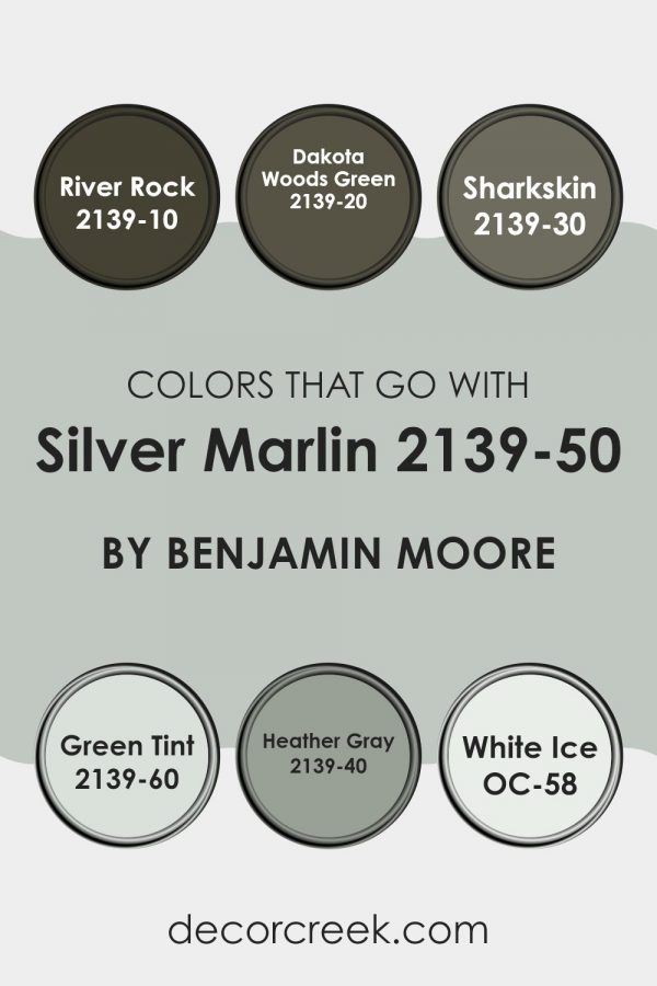 Silver Marlin 2139-50 Paint Color by Benjamin Moore - DecorCreek