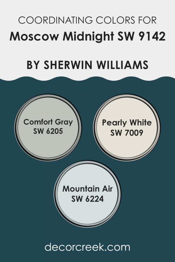 Moscow Midnight SW 9142 Paint Color by Sherwin Williams - DecorCreek