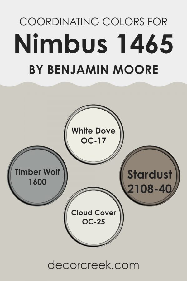 Nimbus 1465 Paint Color by Benjamin Moore - DecorCreek