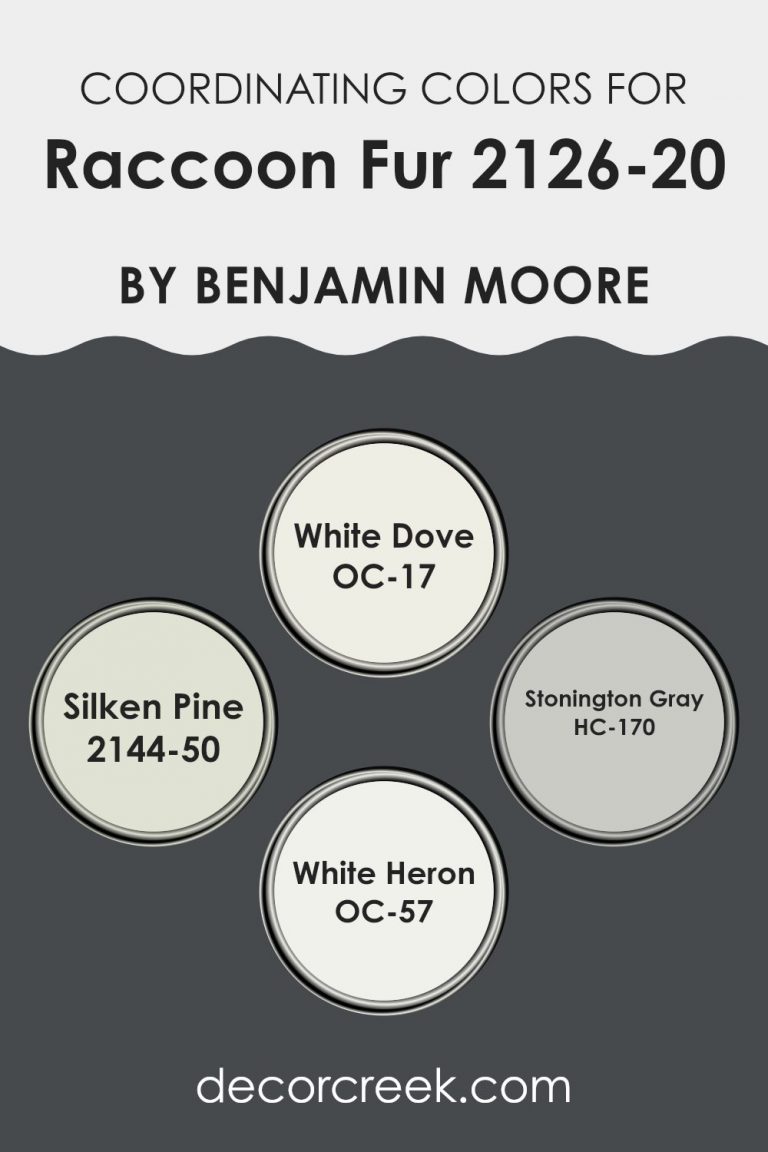 Raccoon Fur 2126-20 Paint Color by Benjamin Moore - DecorCreek
