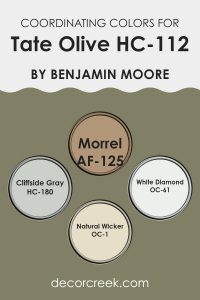 Tate Olive HC-112 Paint Color by Benjamin Moore - DecorCreek