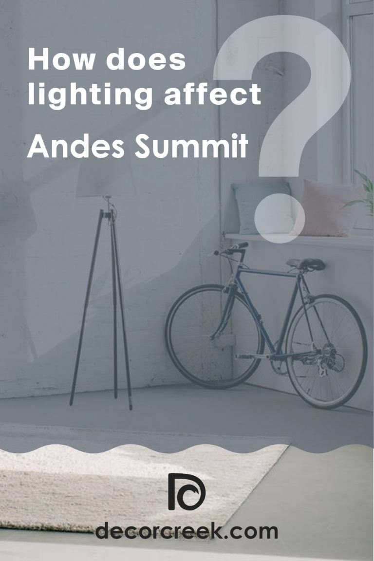 Andes Summit CSP-600 Paint Color by Benjamin Moore - DecorCreek