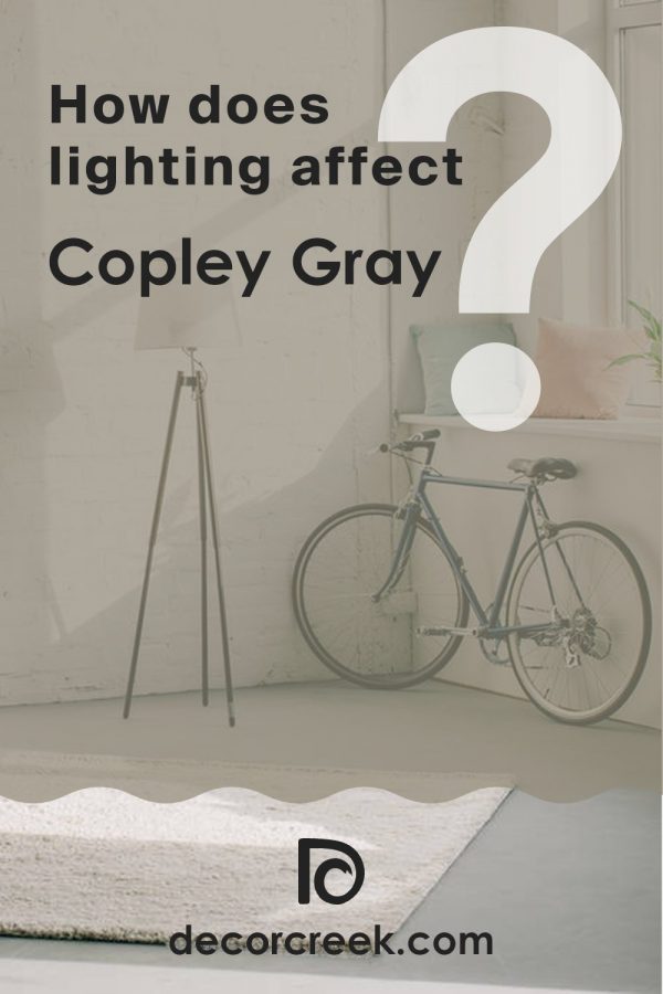 Copley Gray HC-104 Paint Color by Benjamin Moore - DecorCreek