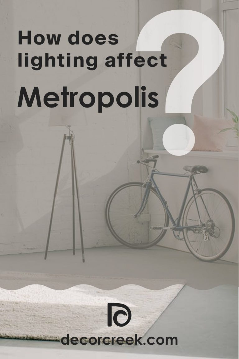 Metropolis CC-546 Paint Color by Benjamin Moore - DecorCreek