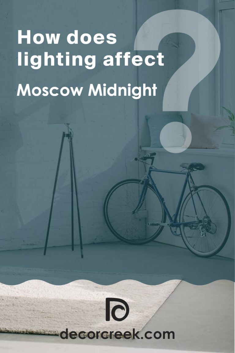 Moscow Midnight SW 9142 Paint Color by Sherwin Williams - DecorCreek