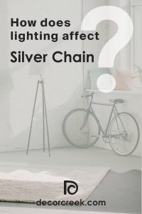 Silver Chain 1472 Paint Color by Benjamin Moore - DecorCreek