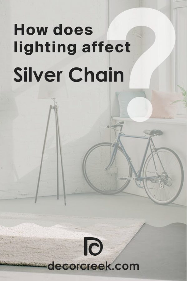Silver Chain 1472 Paint Color by Benjamin Moore - DecorCreek